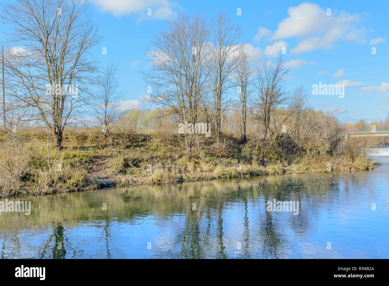 Reflection Of The Tree In The River Stock Photo - Alamy