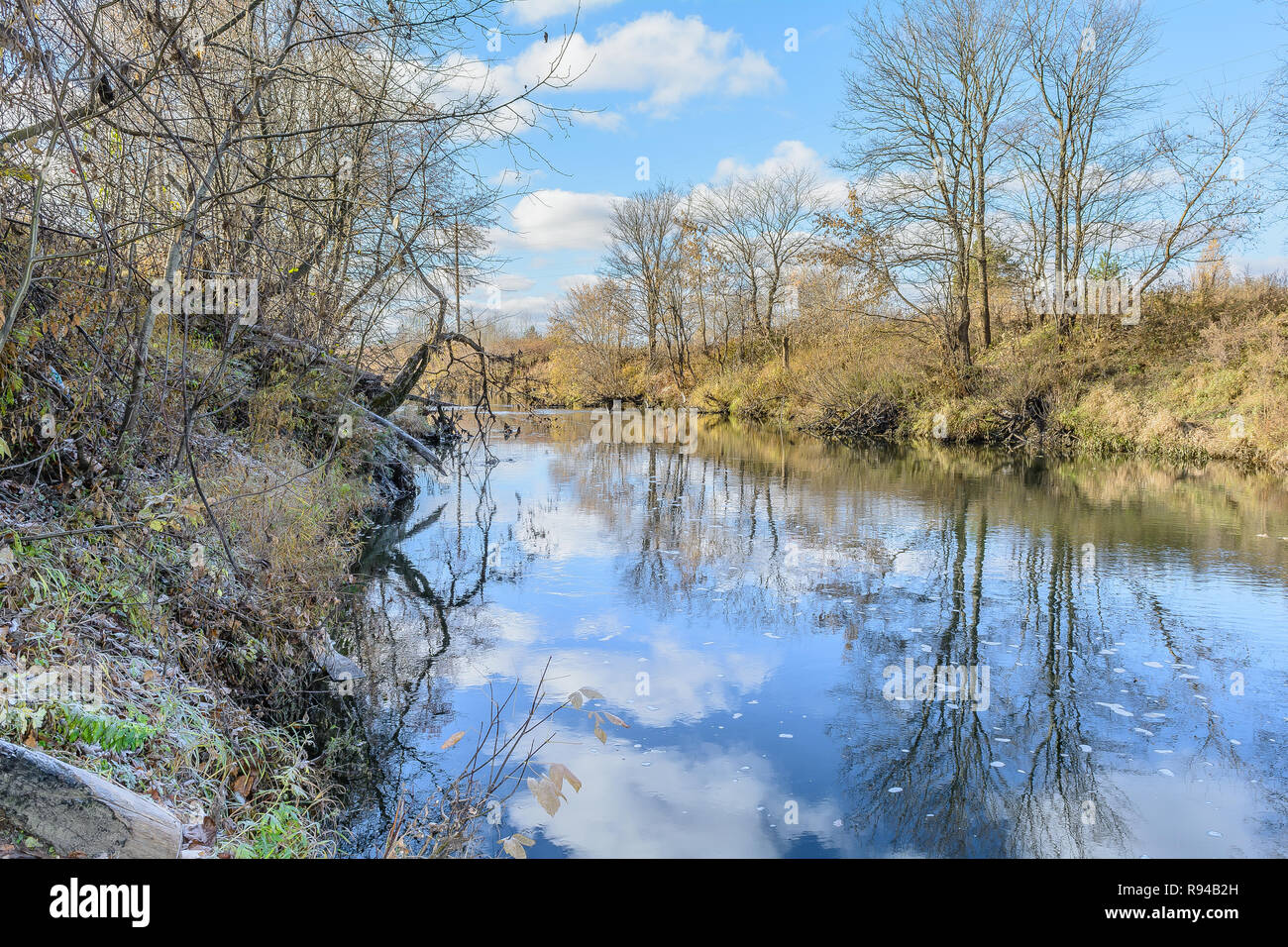 Reflection Of The Tree In The River Stock Photo - Alamy
