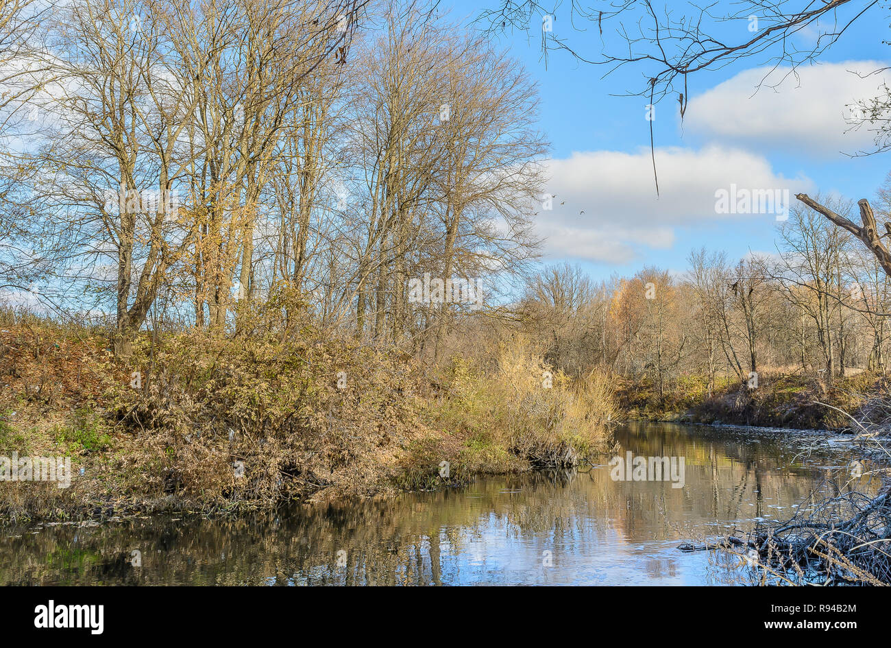 River Bank, Shore Stock Photo - Alamy