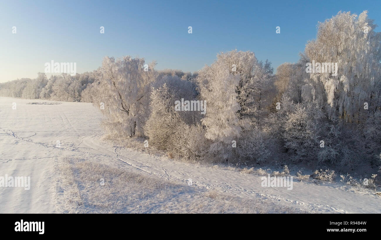 aerial view winter landscape trees covered with snow in countryside ...