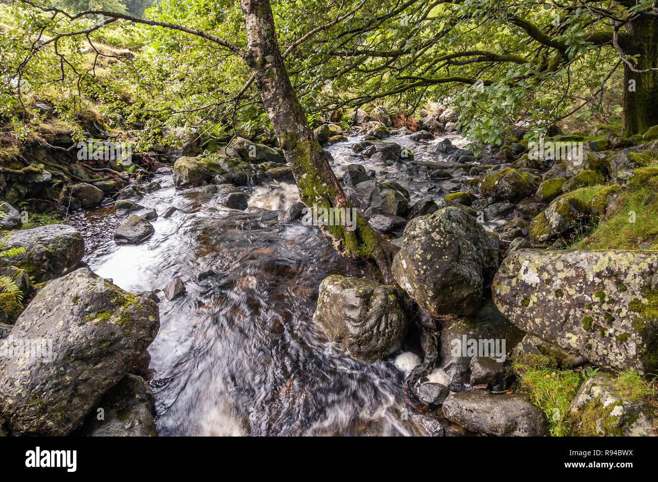 Barrow Beck flowing under the trees near Ashness Bridge in the Lake ...