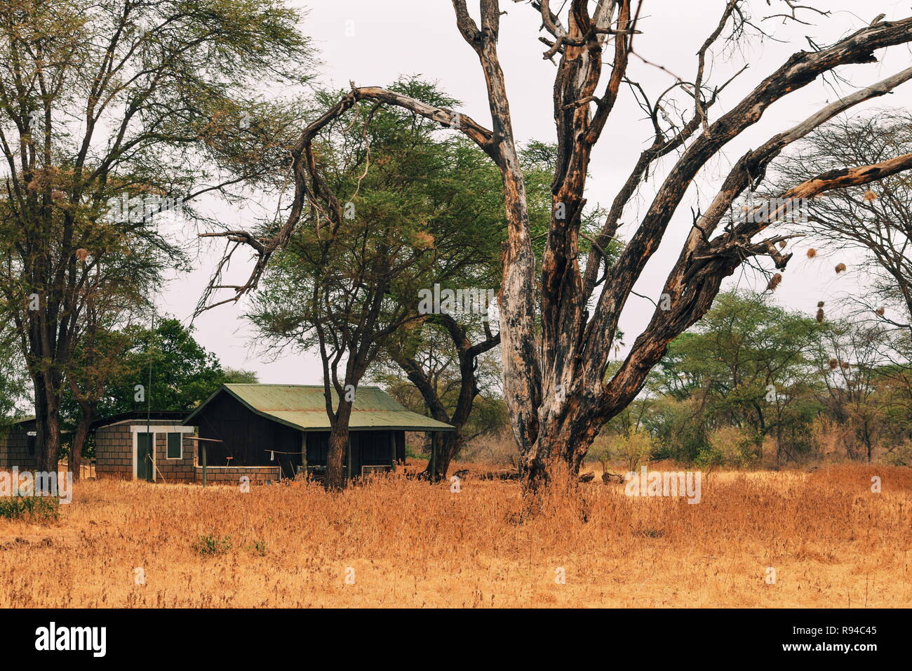 A cabin in the forest, Meru National Park, KENYA Stock Photo - Alamy