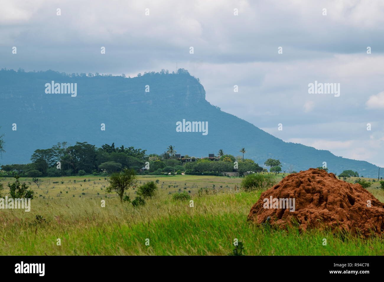 A termite mound against a mountain background at Taita Hills Wildlife ...