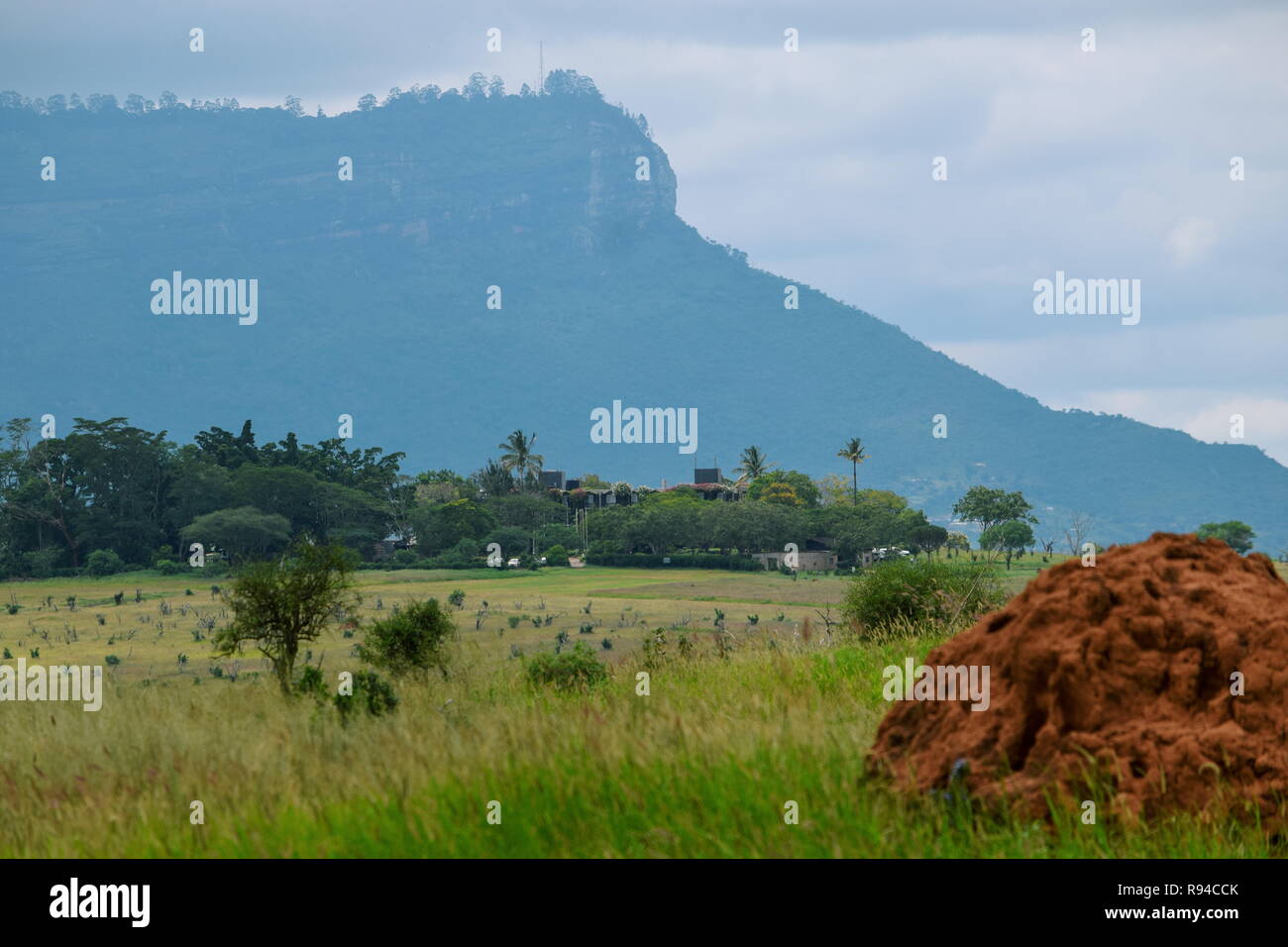 A termite mound against a mountain background at Taita Hills Wildlife ...