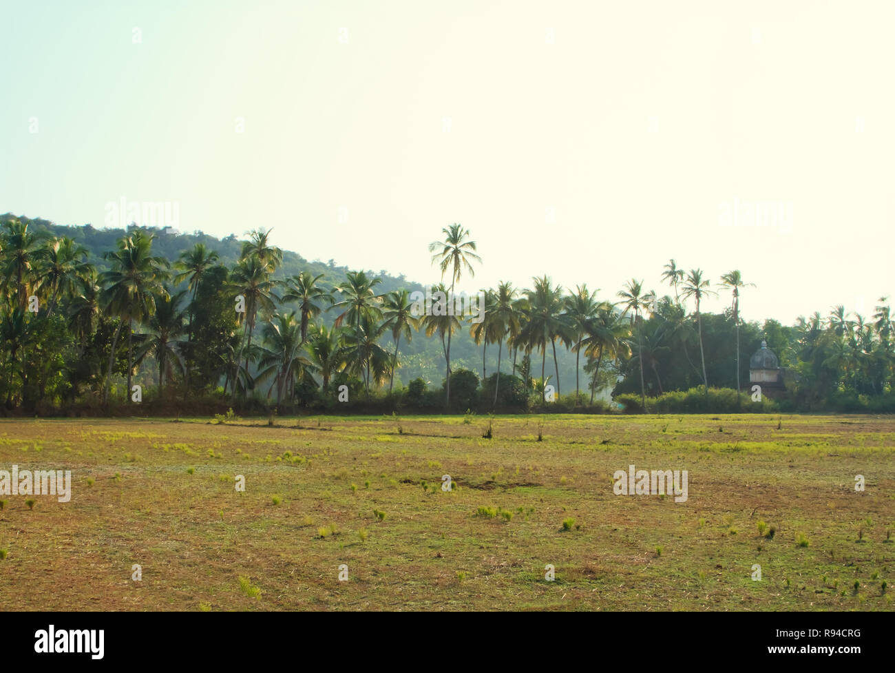 Panorama view of Goa nature in India Stock Photo - Alamy