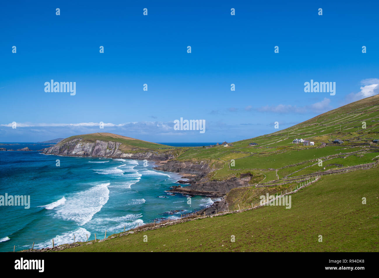 Coastal view of green fields and aqua oceanc, Dingle Peninsula, Ireland ...