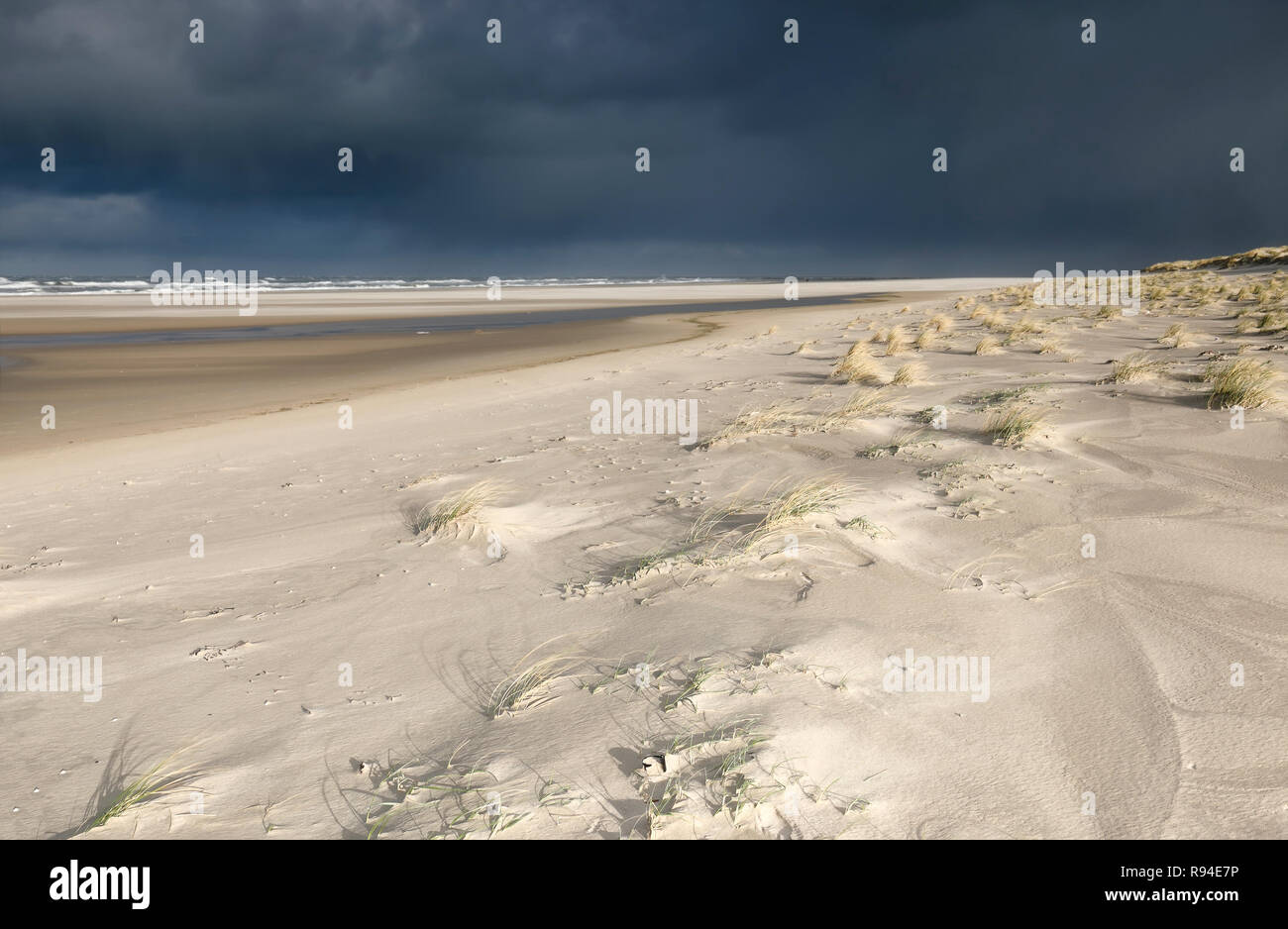 sand beach by North sea at storm, Netherlands Stock Photo - Alamy