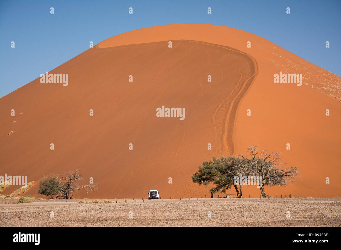 Namibia people white hi-res stock photography and images - Alamy