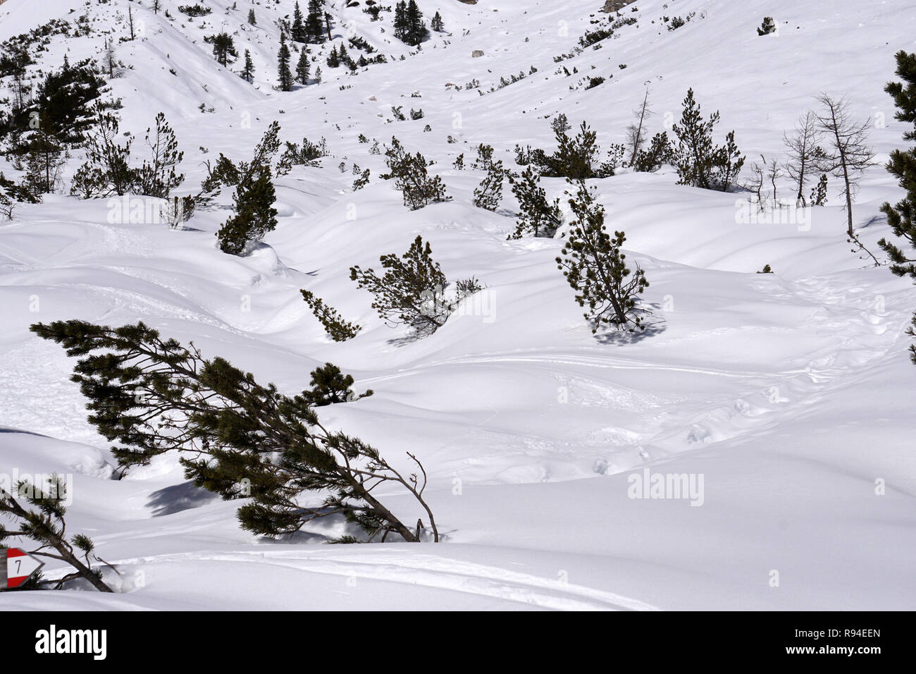 Avalanche snow slide mountain panorama landscape in dolomites Stock ...