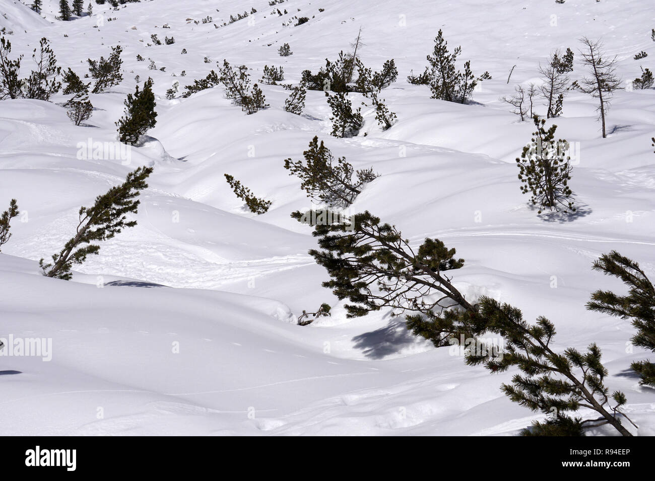 Avalanche snow slide mountain panorama landscape in dolomites Stock ...