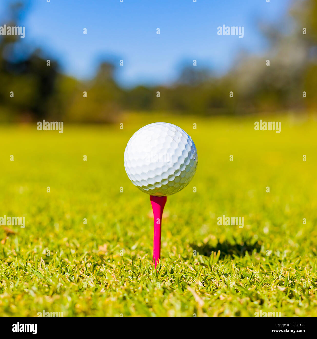Macro Close up of a Golf Ball on a Tee at a Golf Course Stock Photo - Alamy