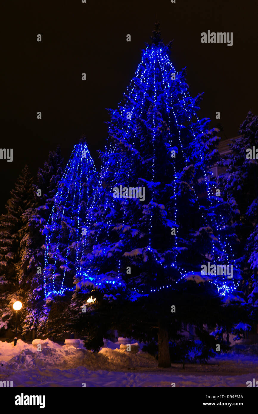 Lights hanging in forest hi-res stock photography and images - Alamy