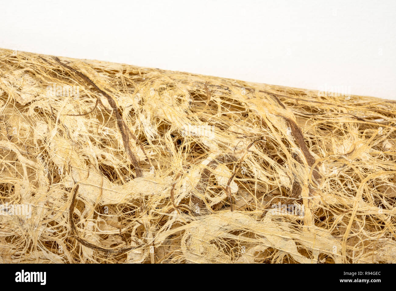 Roll of amate bark paper with lace design against white canvas. This ...