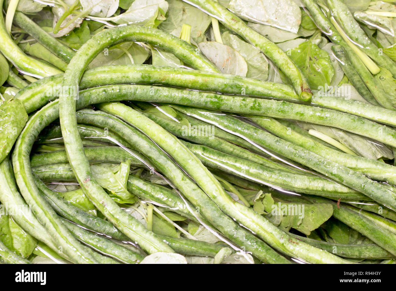 Beans soaked in water Stock Photo - Alamy