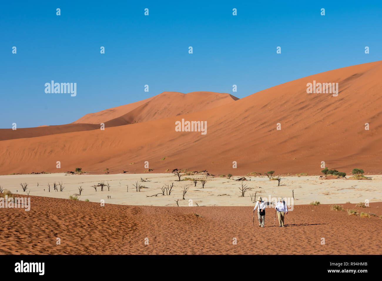 Deadvlei (White clay pan) in Namib-Naukluft Park in Namibia, Africa ...