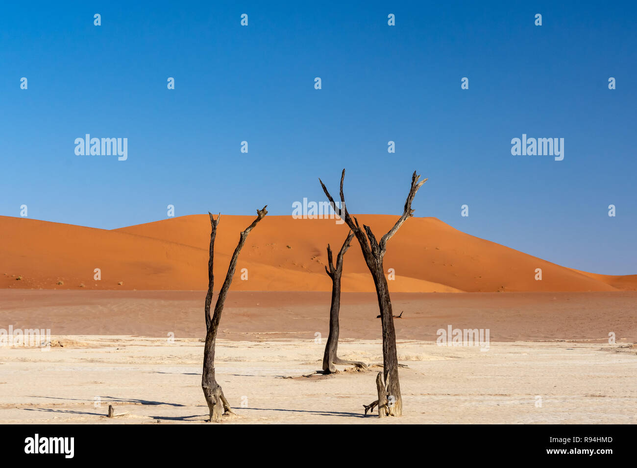 Deadvlei (White clay pan) in Namib-Naukluft Park in Namibia, Africa ...
