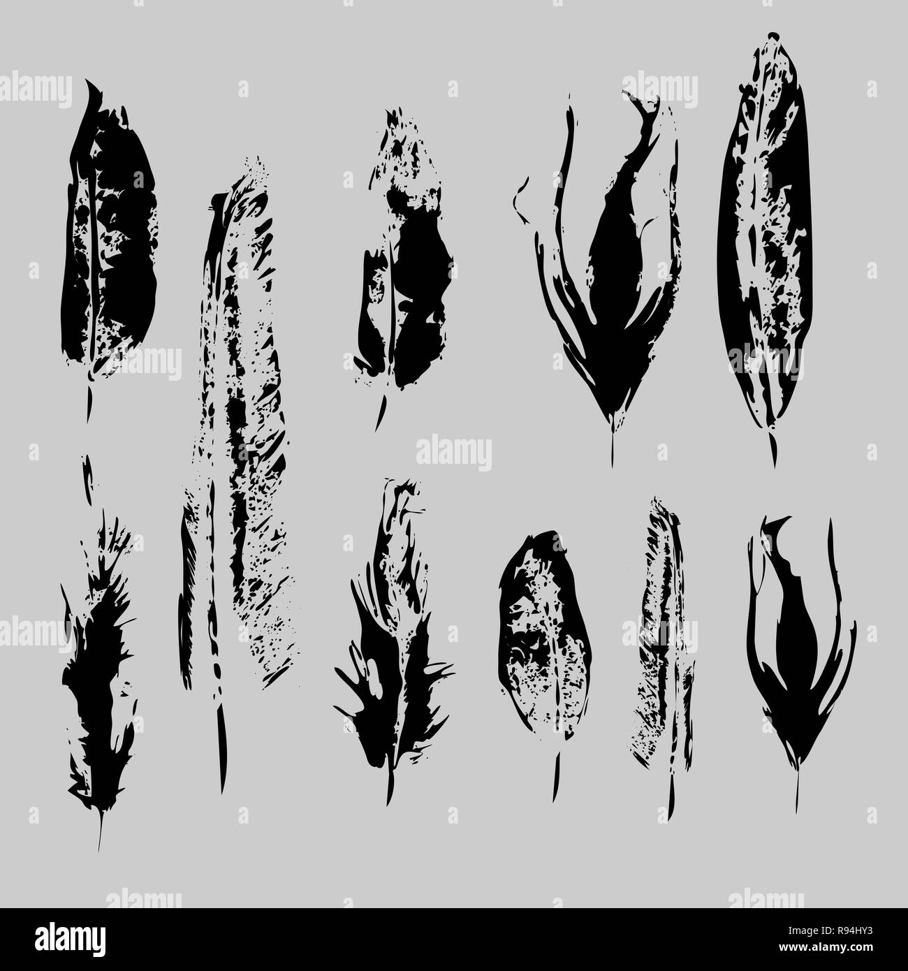Vector Grunge bird feathers set. Isolated illustration element. Vector ...