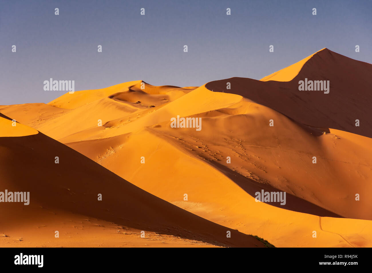 Big Daddy dune in Sossusvlei in the heart of Namibia, Africa Stock ...