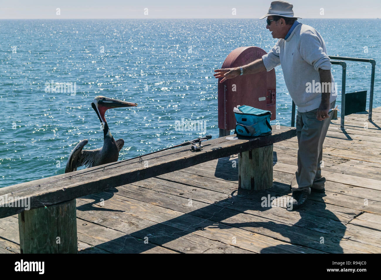 Pelican man hi-res stock photography and images - Alamy