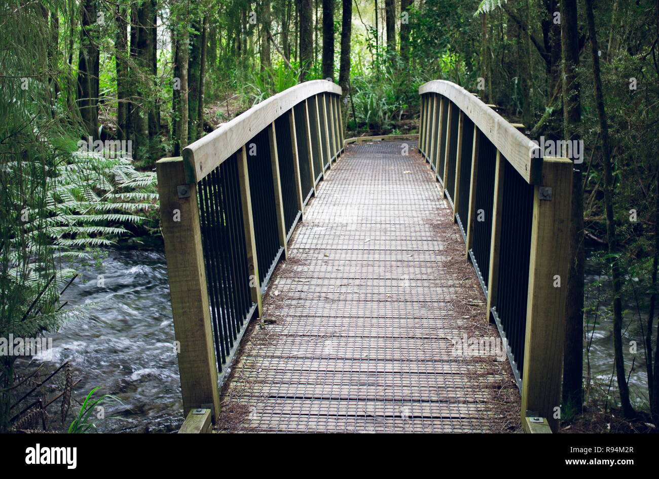 Image of a wooden foot bridge crossing a river in a forest Stock Photo ...