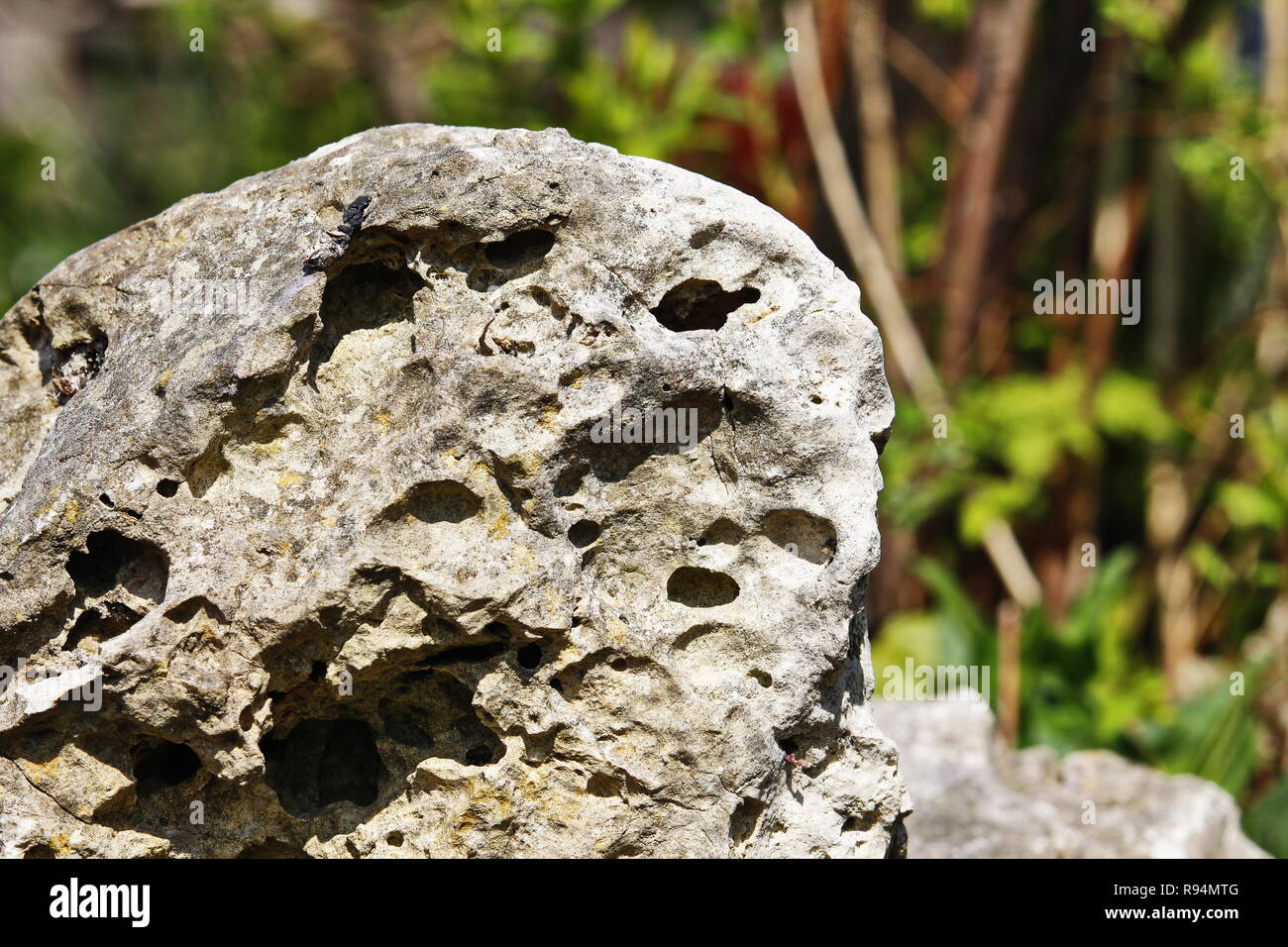 Holestone hi-res stock photography and images - Alamy