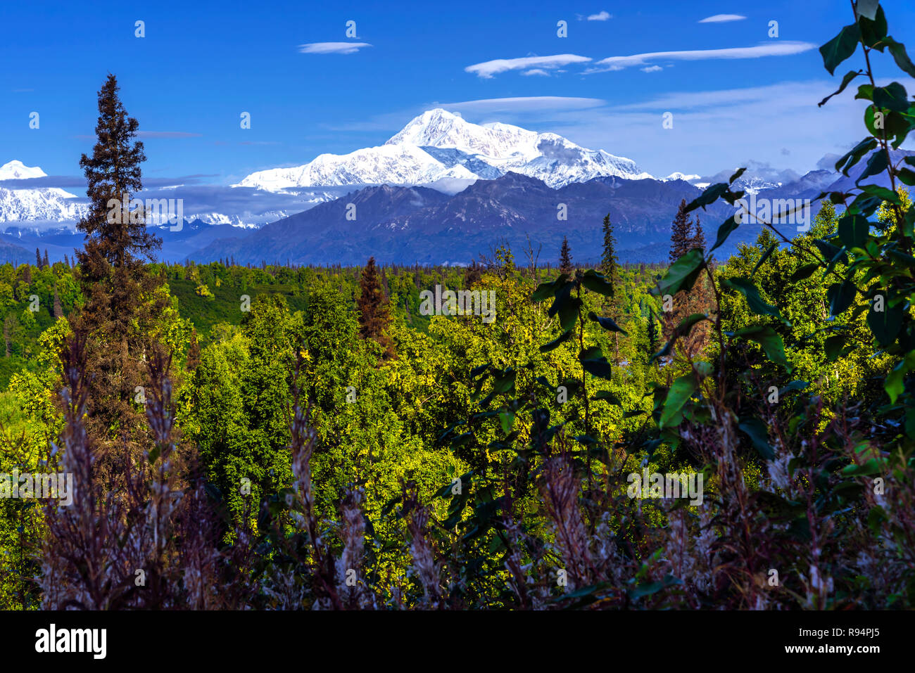 Mount denali hi-res stock photography and images - Alamy