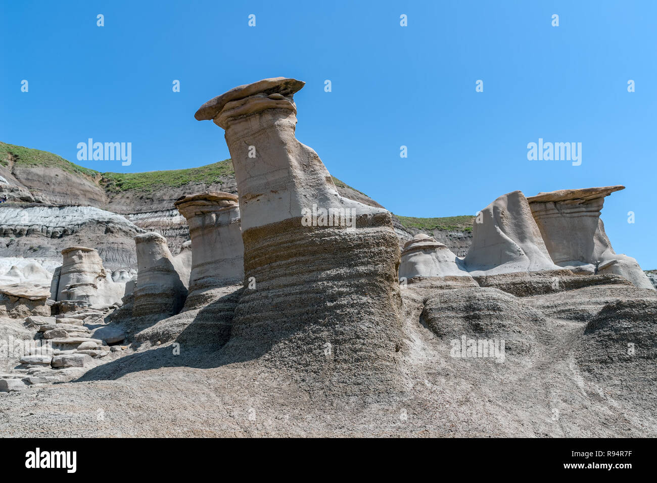Sedimentary rock fossil canada hi-res stock photography and images - Alamy