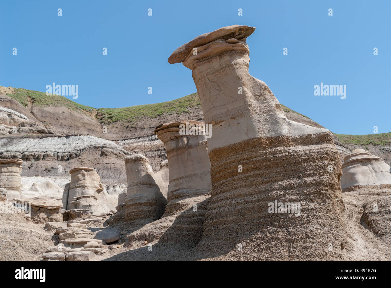 Beautiful fossil rock formation hi-res stock photography and images - Alamy