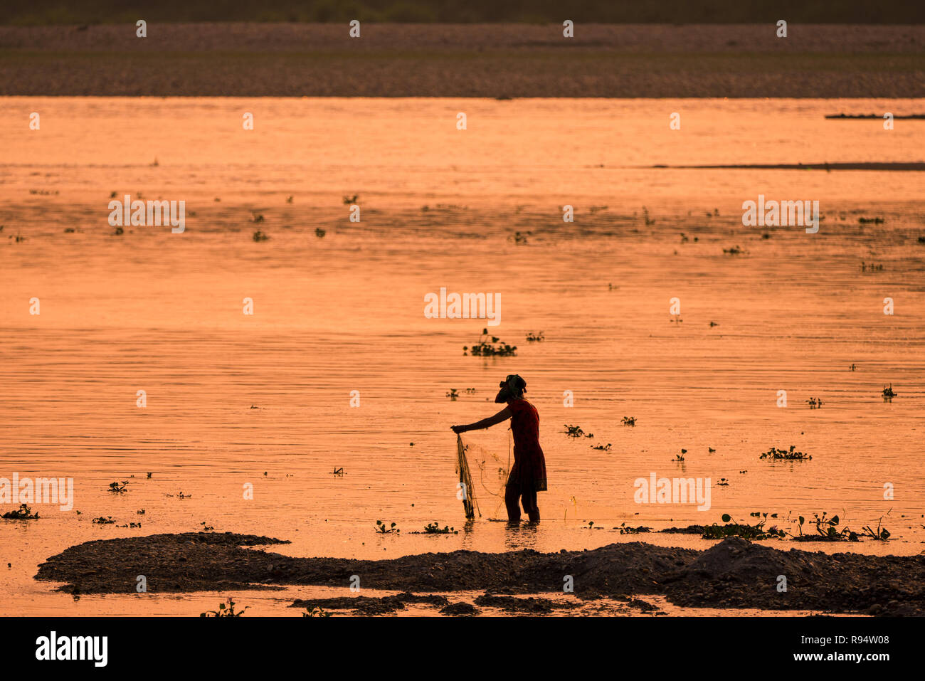 Asian Woman fishing in the river. silhouette at sunset. Village life in ...