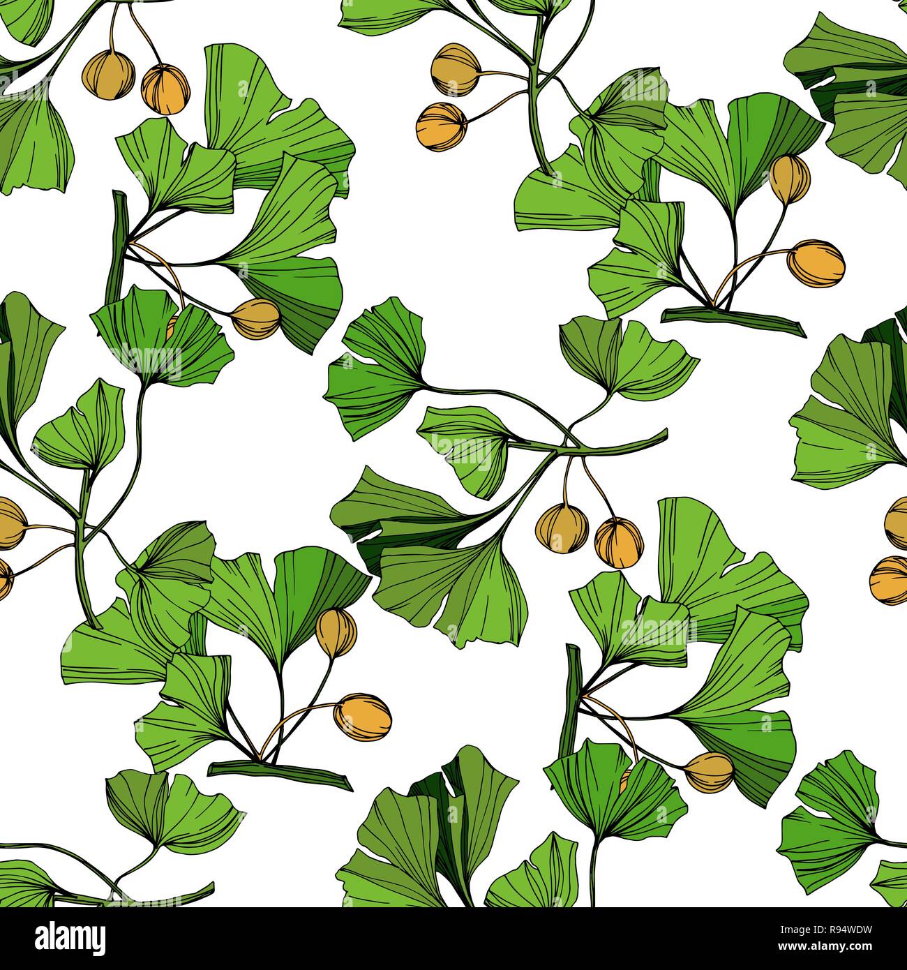 Vector Green ginkgo leaf. Engraved ink art. Seamless background pattern ...