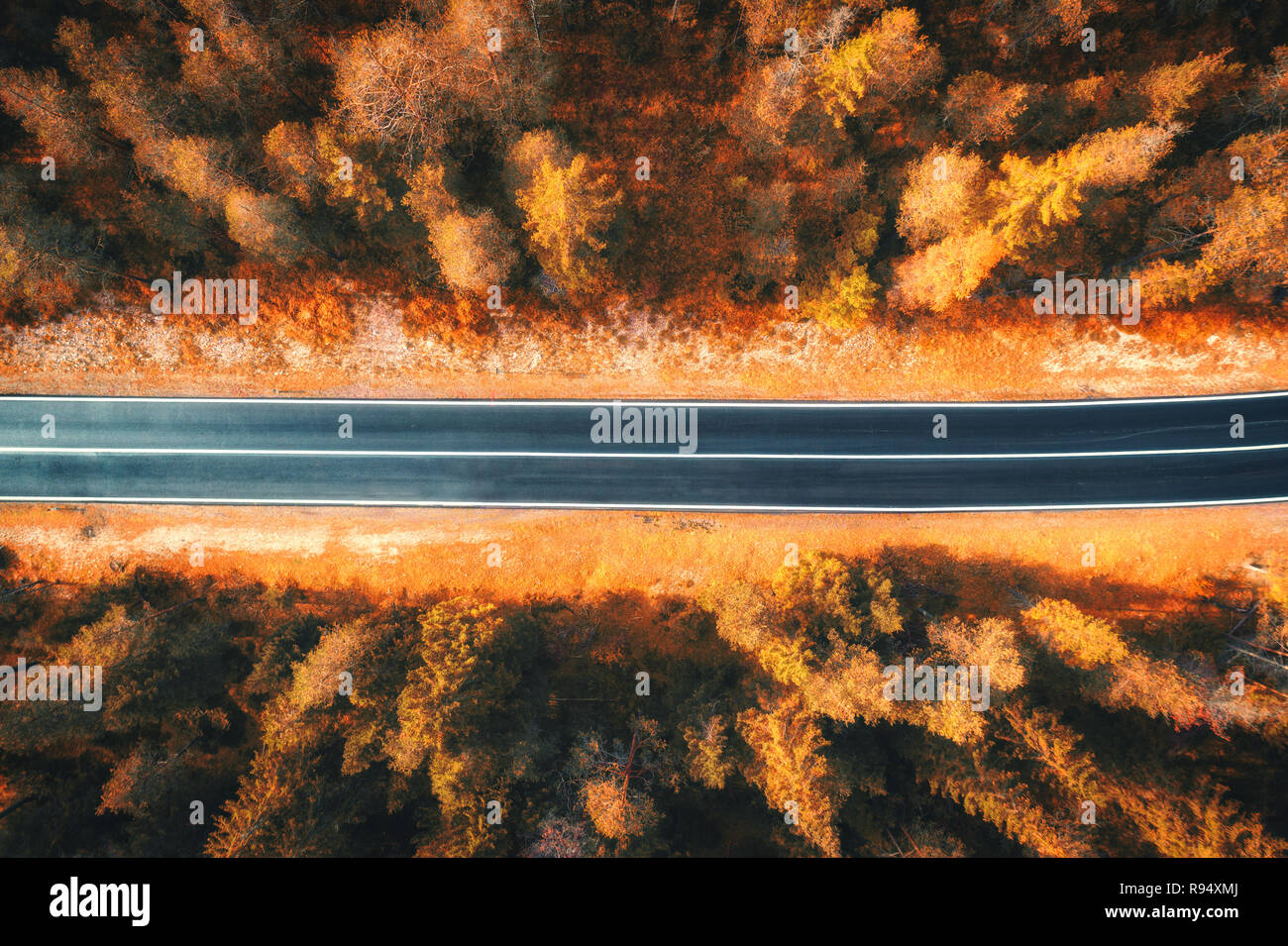 Aerial view of the road in beautiful forest at sunset in Dolomites. Top ...