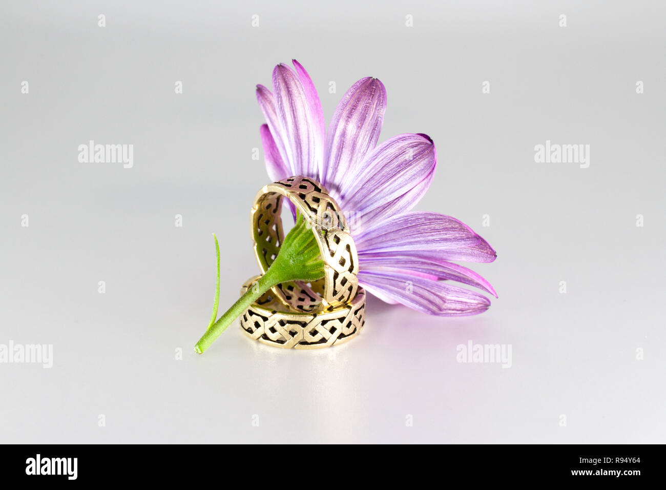 Golden wedding rings with Irish ornaments and daisybush (Osteospermum ...