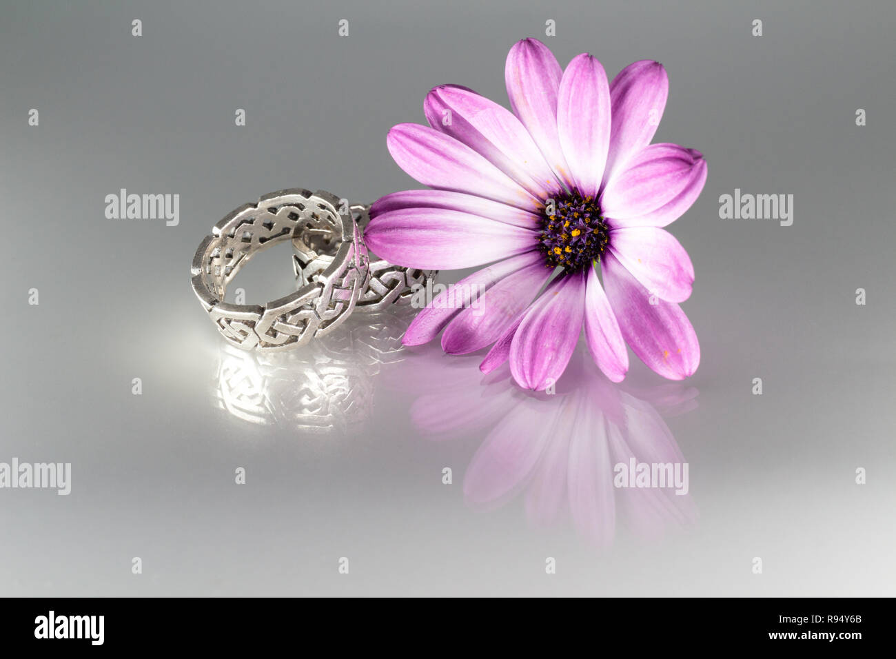 Silver engagement rings with Irish ornaments and daisybush ...