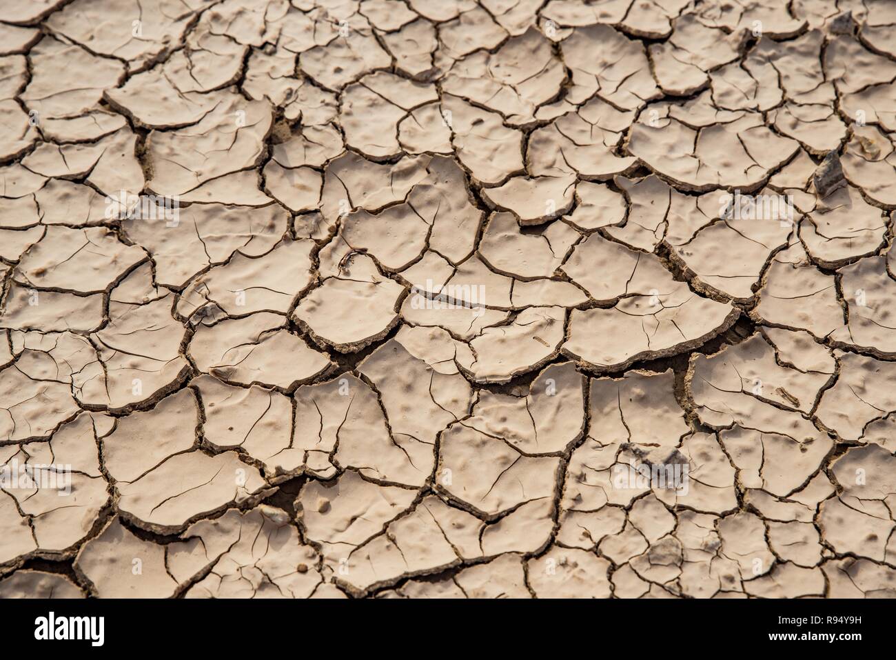 Dry cracked earth on Israeli Negev desert. Climate change Stock Photo ...