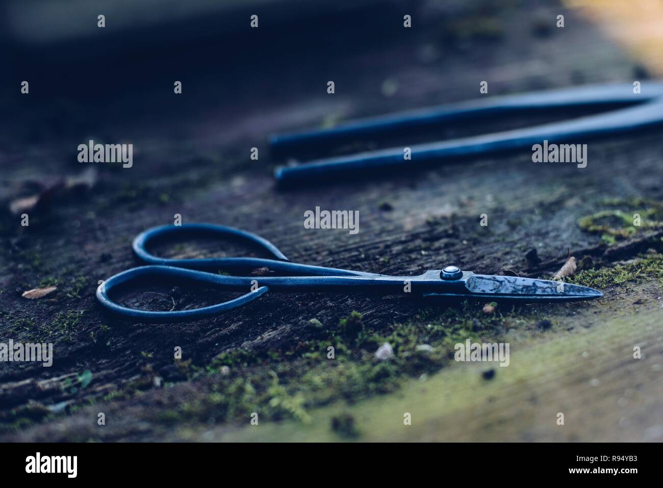 Metal bonsai tools on old wooden table Stock Photo - Alamy