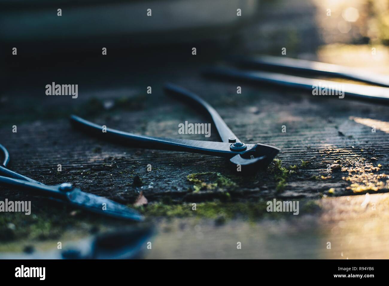 Metal bonsai tools on old wooden table Stock Photo - Alamy
