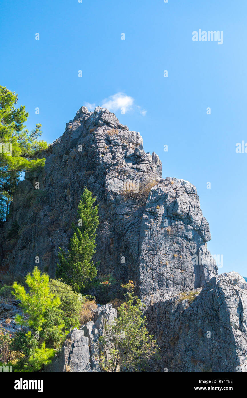 View of a big empty Mountain Range with green Vegetation in front of a ...