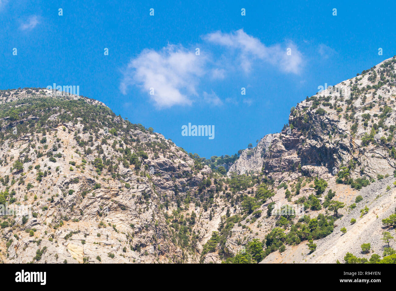 View of a big empty Mountain Range with green Vegetation in front of a ...