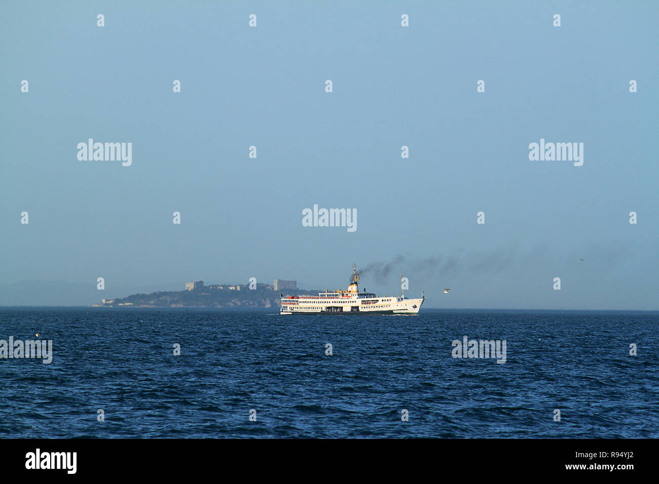 Seagull Flying Freely In The Sky, istanbul Turkey Stock Photo - Alamy