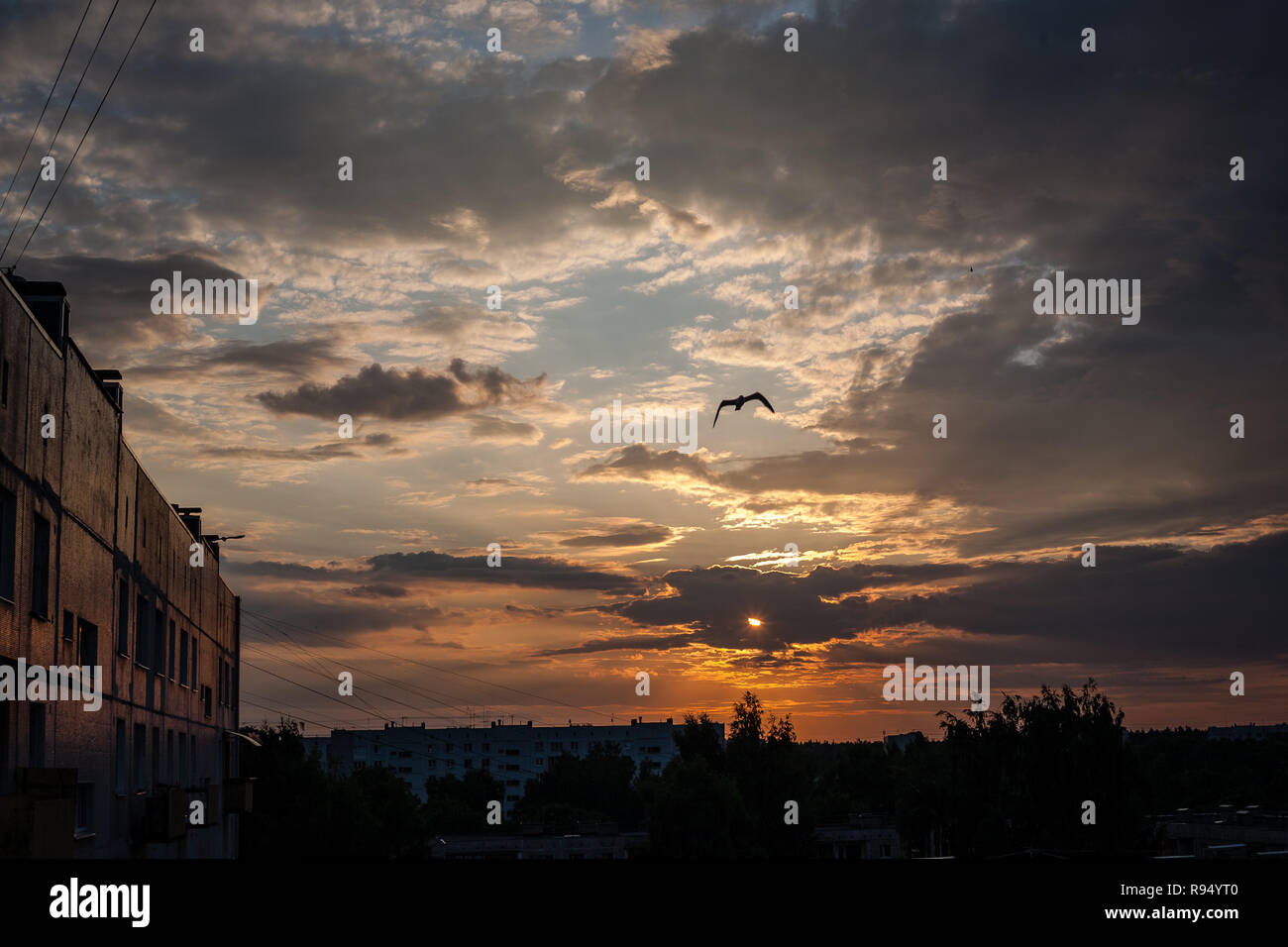 dramatic high contrast clouds in sunset over seaside beach with sand ...