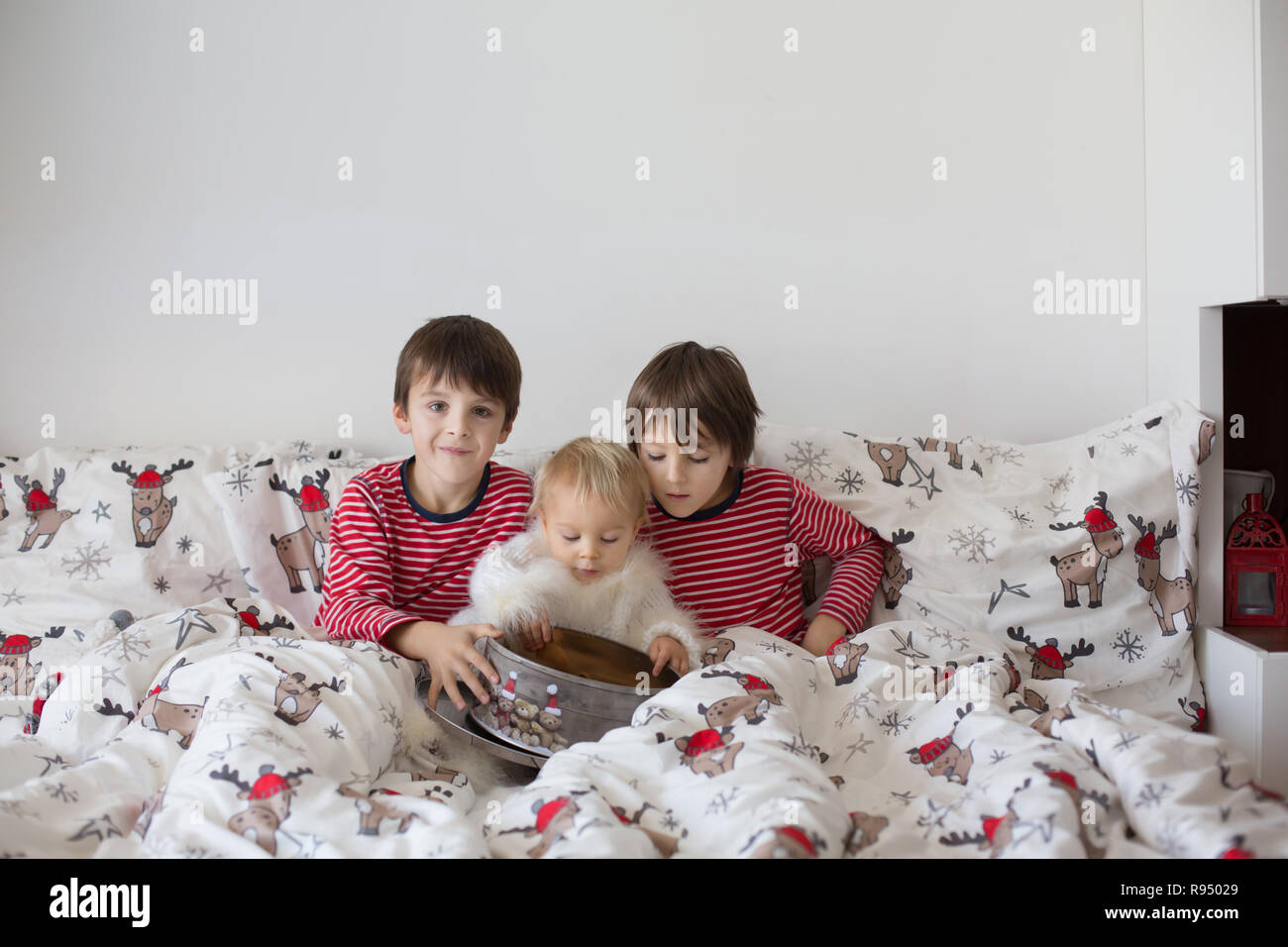 Happy children, brothers, eating cookies in bed on Christmas morning ...