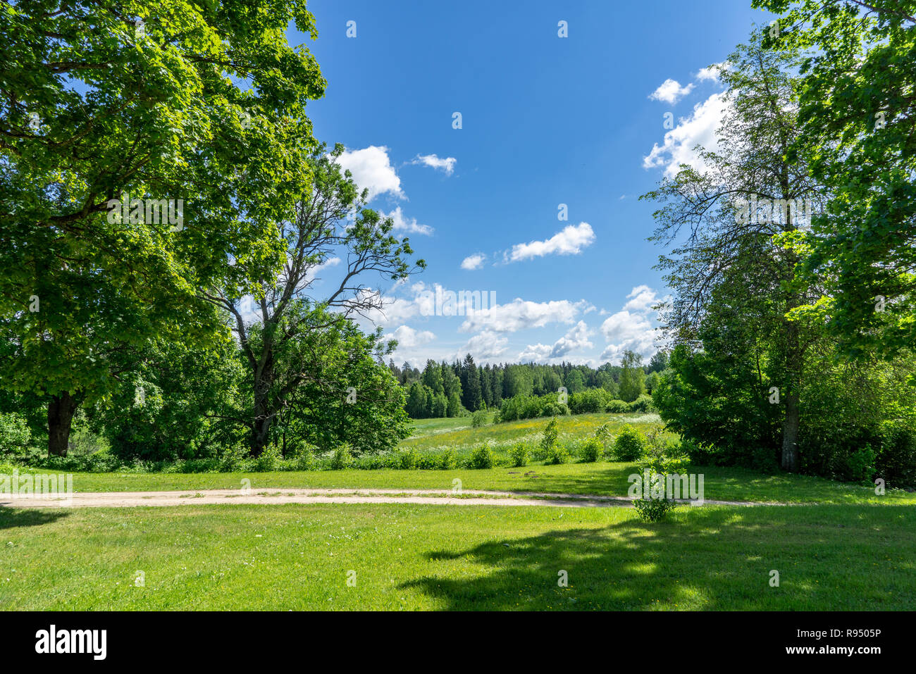 countryside yard with trees and green foliage in summer sunny day Stock ...