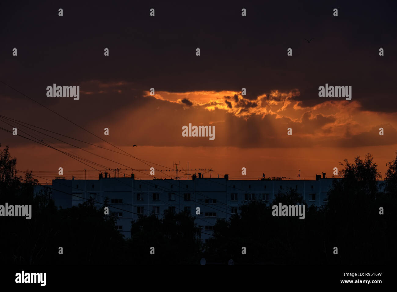 dramatic clouds on red sky over city roof tops at sunset Stock Photo ...