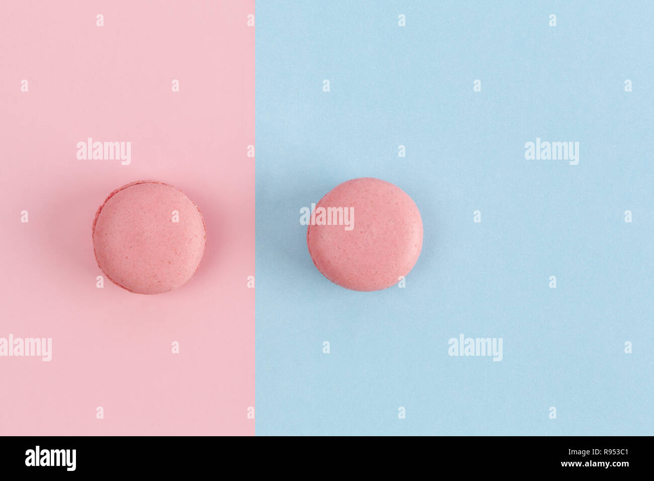 Two pink macarons on divided pink-blue background. Top view with copy ...