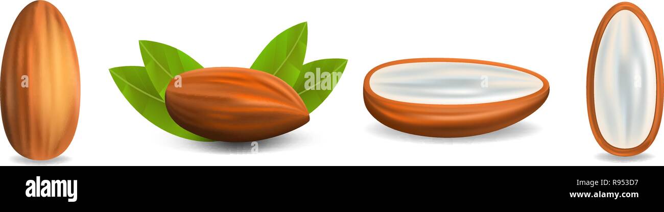 Almond icon set, realistic style Stock Vector Image & Art - Alamy