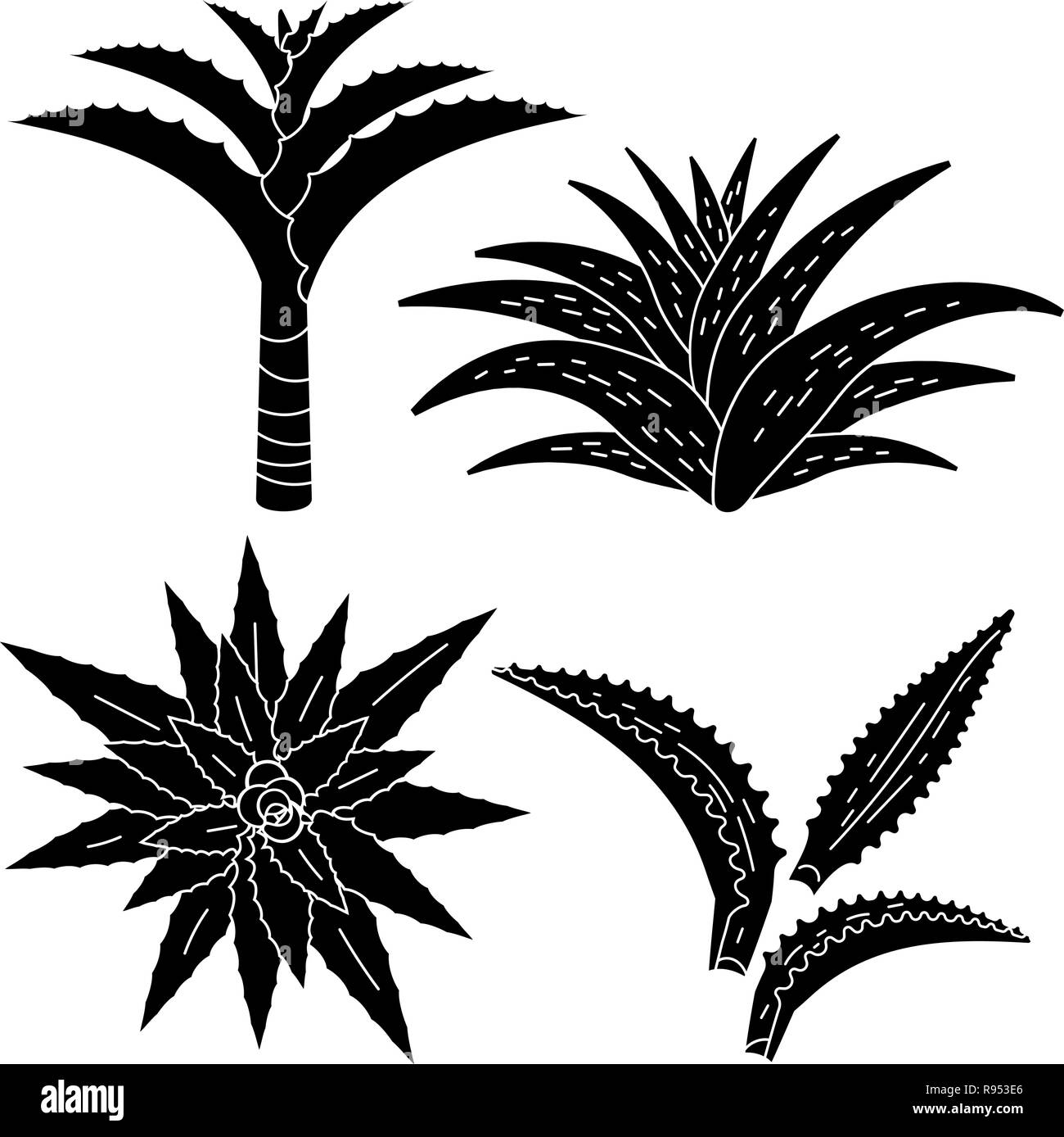 Aloe icon set outline Black and White Stock Photos & Images - Alamy