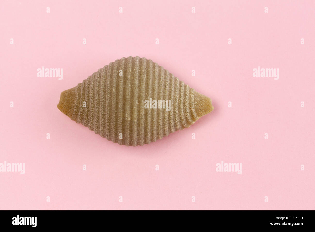Top view of one Conchiglie Rigate pasta shell on pink background with ...