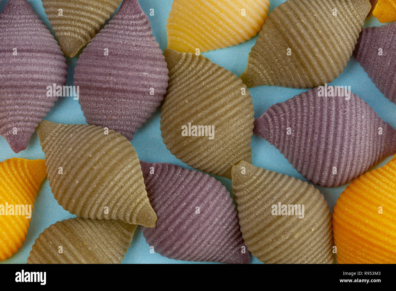 Closeup of Conchiglie Rigate pasta shells on light blue background ...