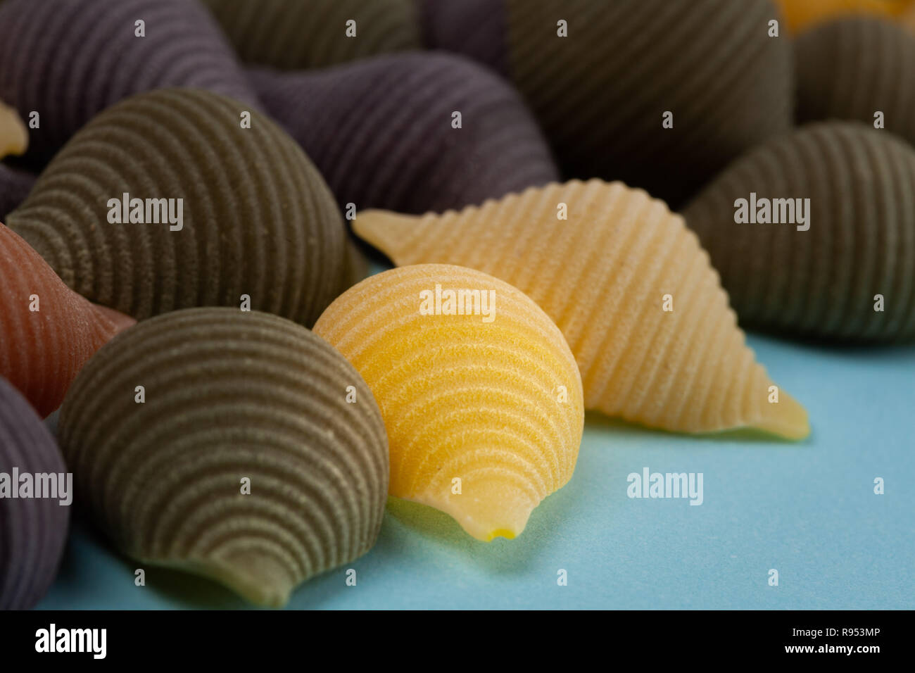 Conchiglie rigate hi-res stock photography and images - Alamy