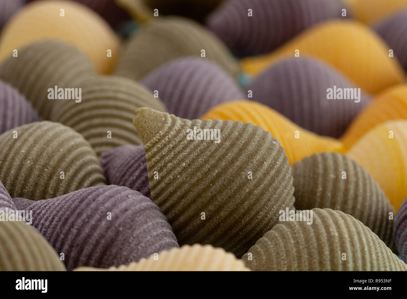 Conchiglie rigate hi-res stock photography and images - Alamy